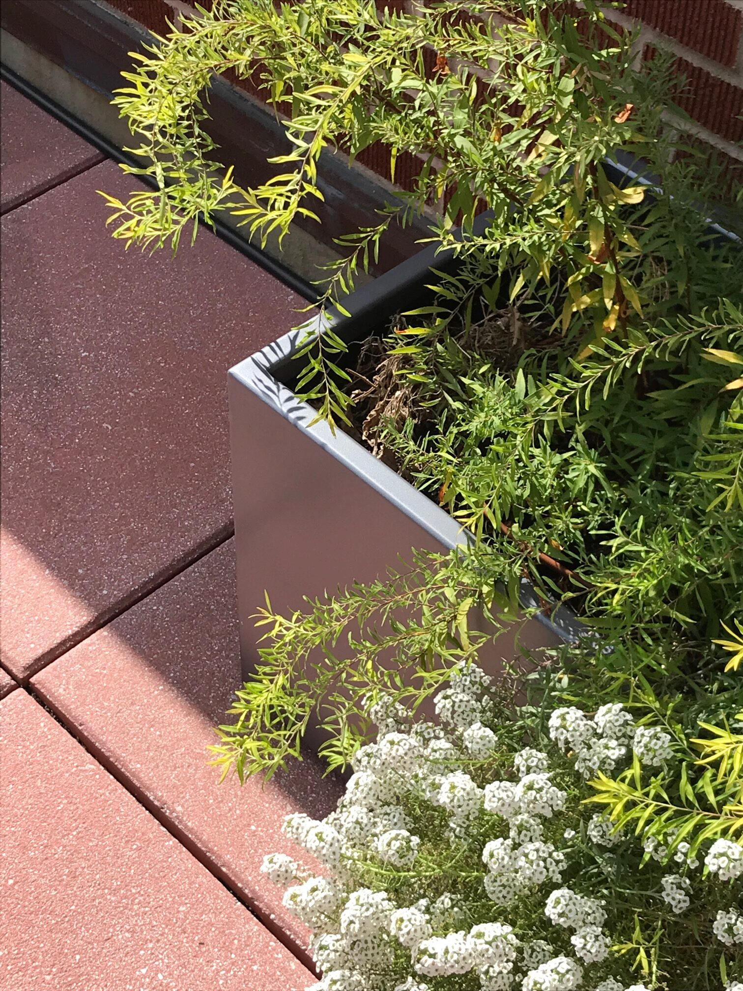 Inspiration Gallery | PlanterCraft