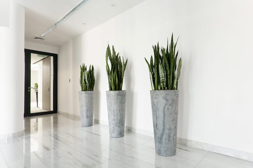 How to Use Tall Indoor Planters | PlanterCraft Blog